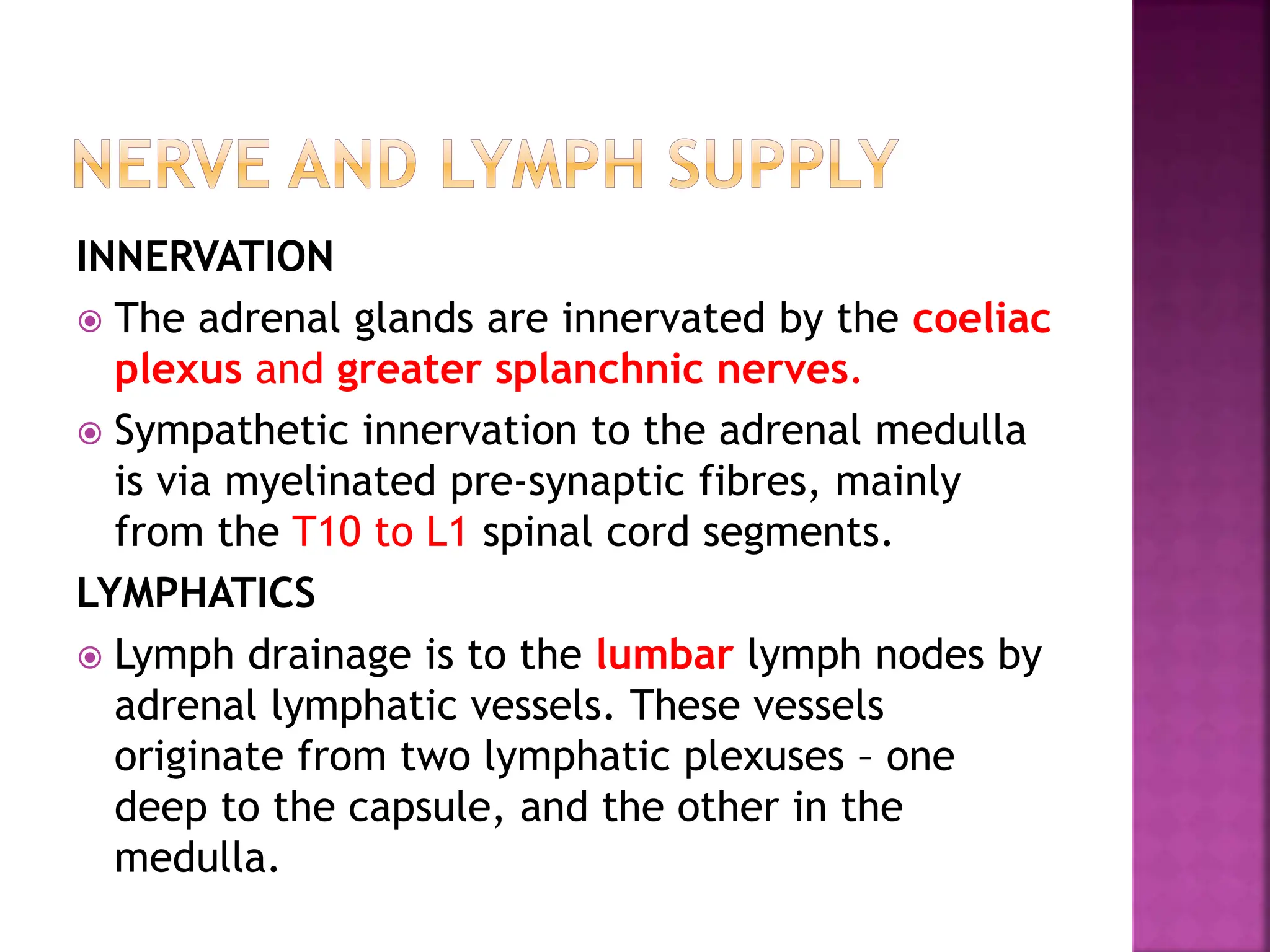 endocrine system anatomy.pptx for BSN Generic | PPTX