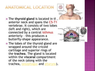 endocrine system anatomy.pptx for BSN Generic | PPTX