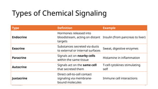 Endocrine System Anatomy with clinical aspects.pptx