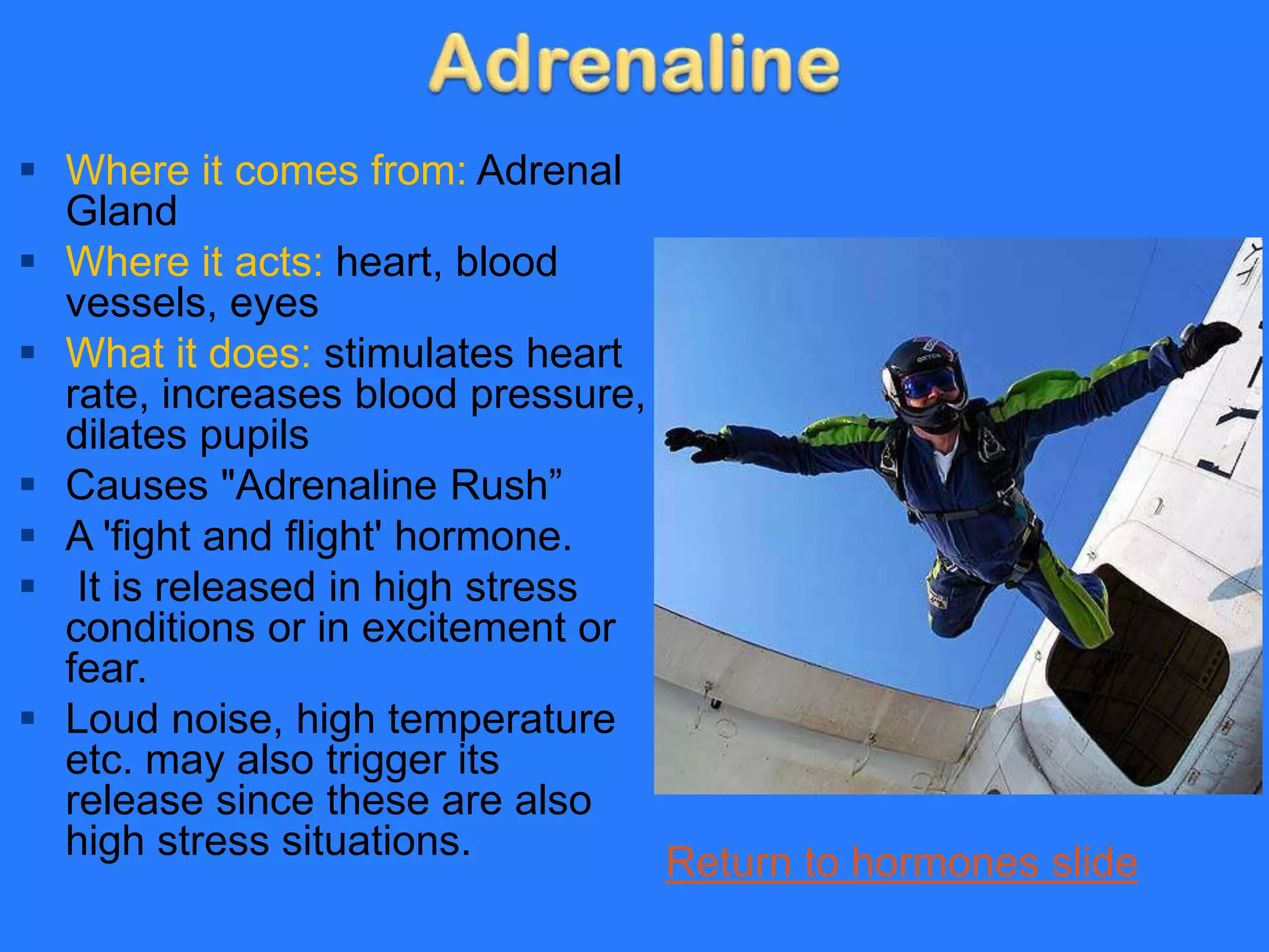 Endocrine system and hormones | PPT