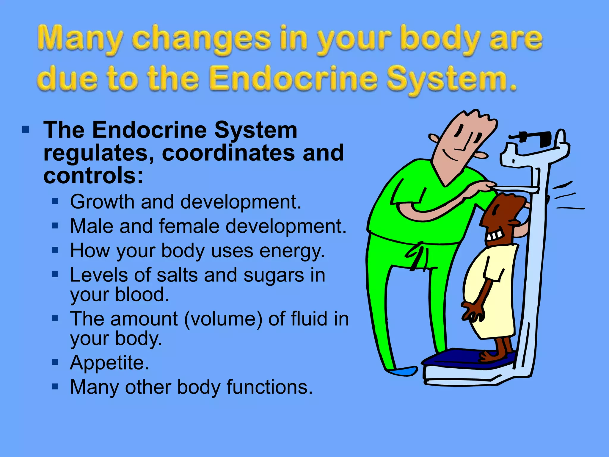Endocrine system and hormones | PPT