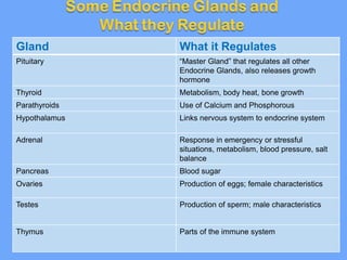 Endocrine system and hormones | PPT