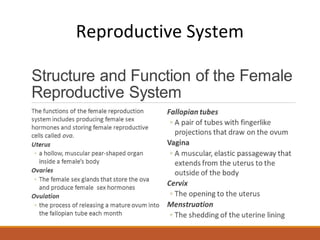 Endocrine system and others | PPT