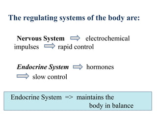 Endocrine system basics | PPTX