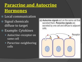 Endocrine system basic | PPTX