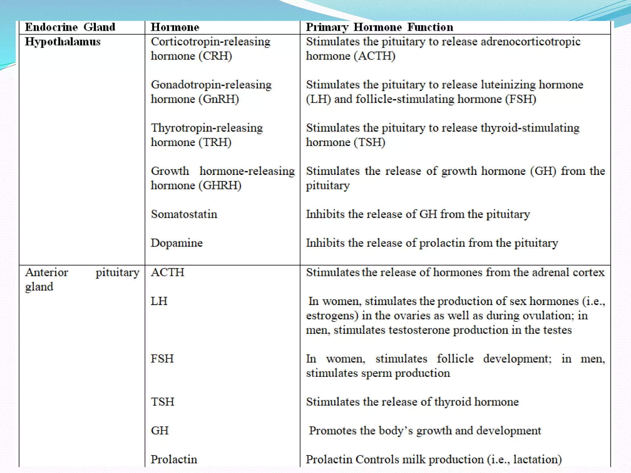Endocrine system basic-ppt | PPT