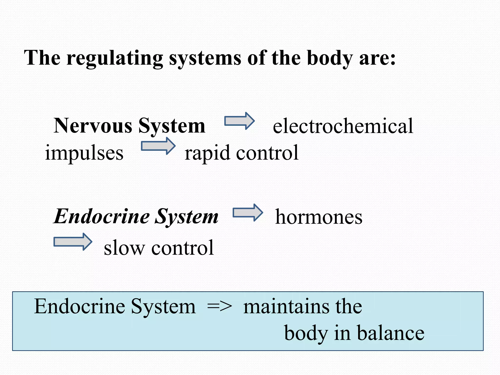 Endocrine system basic-ppt | PPT