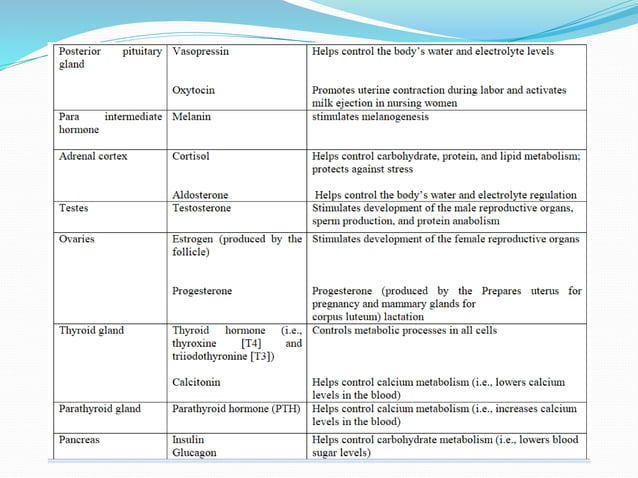 Endocrine system basic-ppt | PPT | Endocrine and Metabolic Diseases | Diseases and Conditions