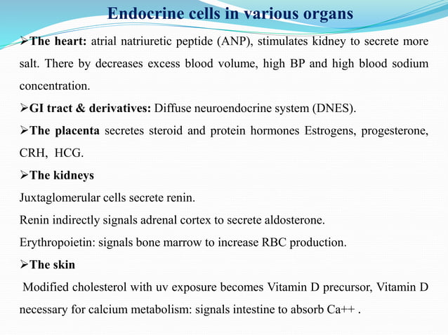 Endocrine system basic-ppt | PPT | Endocrine and Metabolic Diseases | Diseases and Conditions