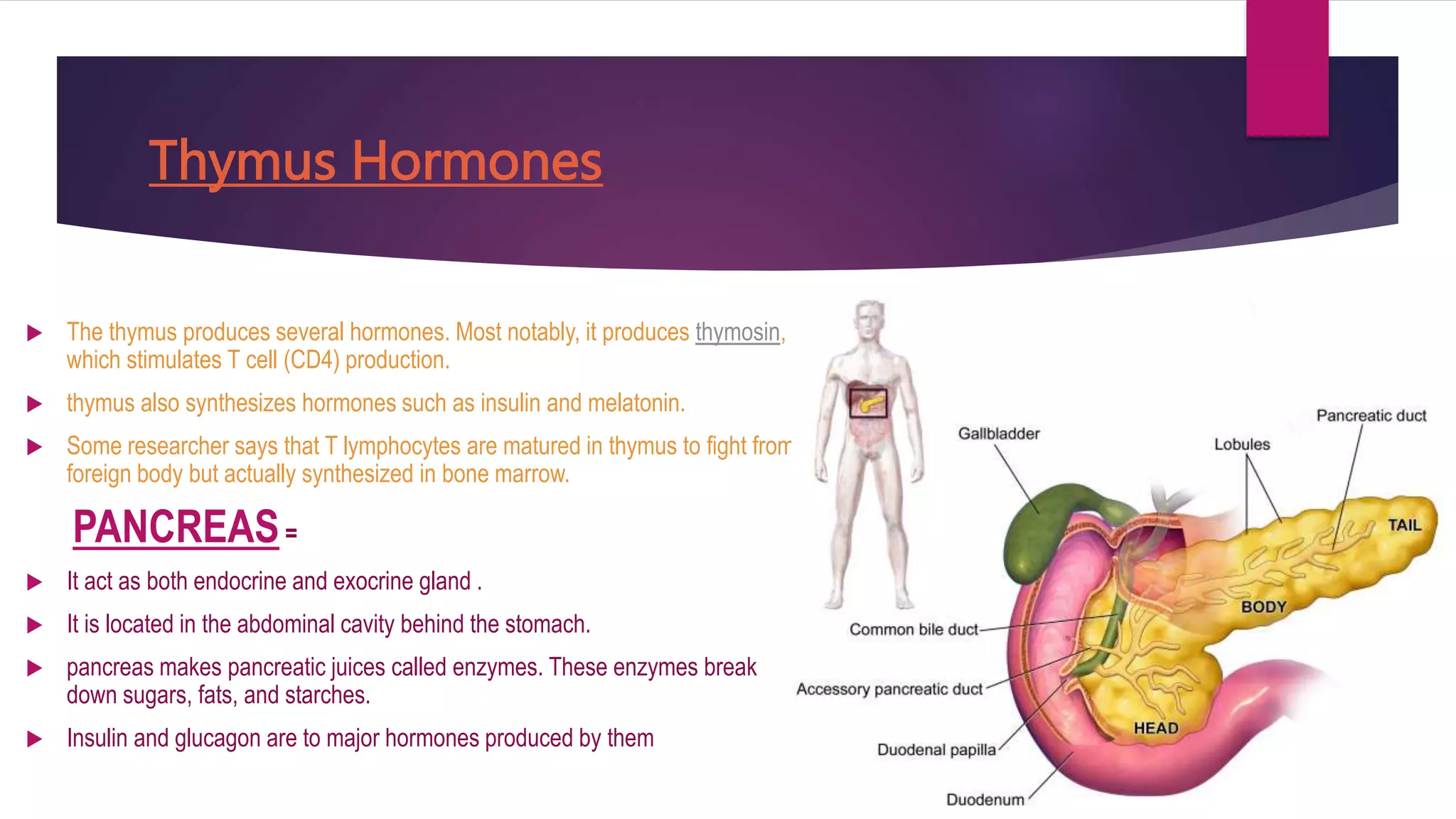 ENDOCRINE SYSTEM BY ASHISH SENGAR (PPT).pptx