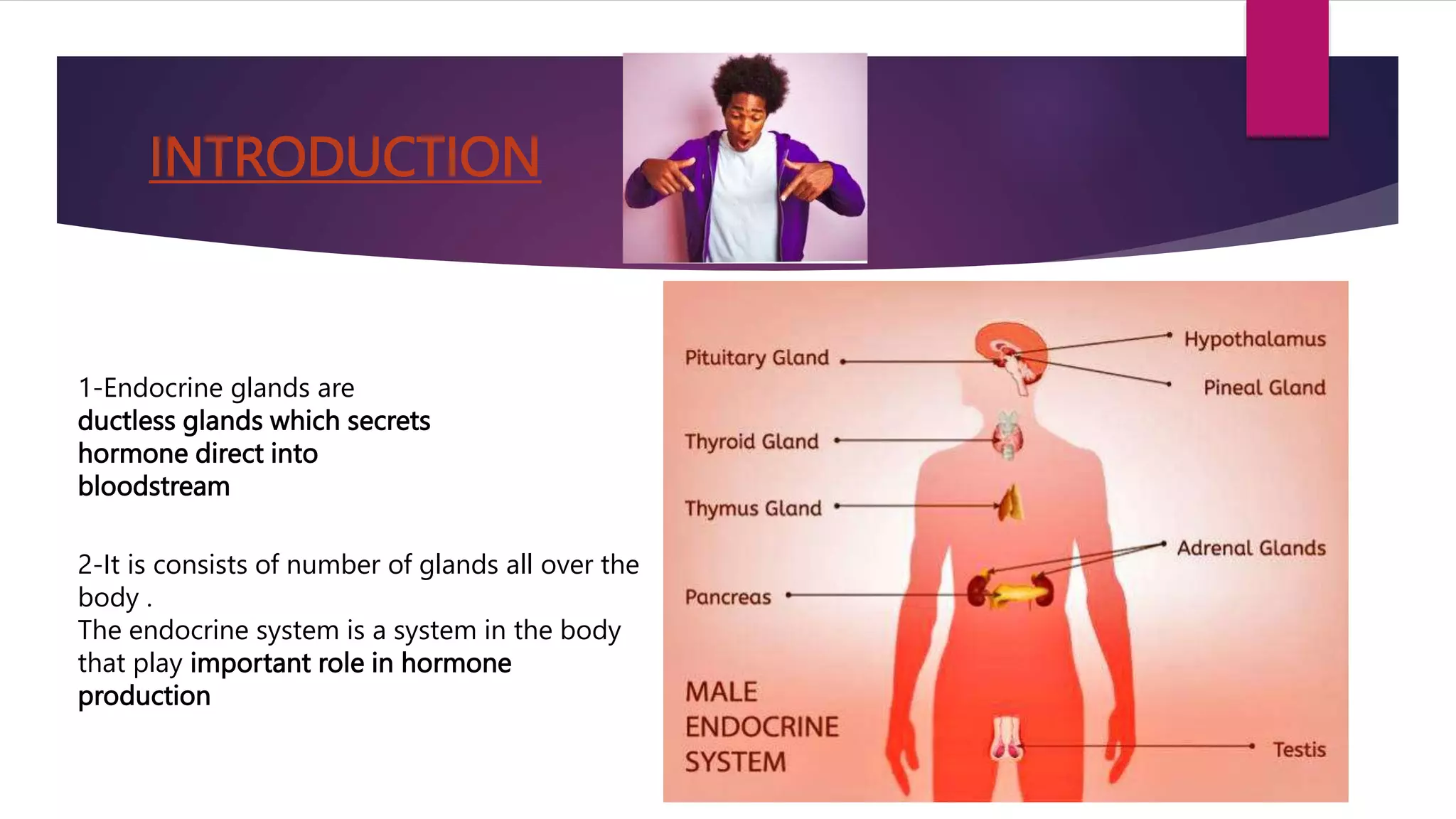 ENDOCRINE SYSTEM BY ASHISH SENGAR (PPT).pptx