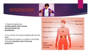 ENDOCRINE SYSTEM BY ASHISH SENGAR (PPT).pptx