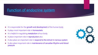 ENDOCRINE SYSTEM BY ASHISH SENGAR (PPT).pptx