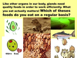 Endocrine system by dean berry | PPT