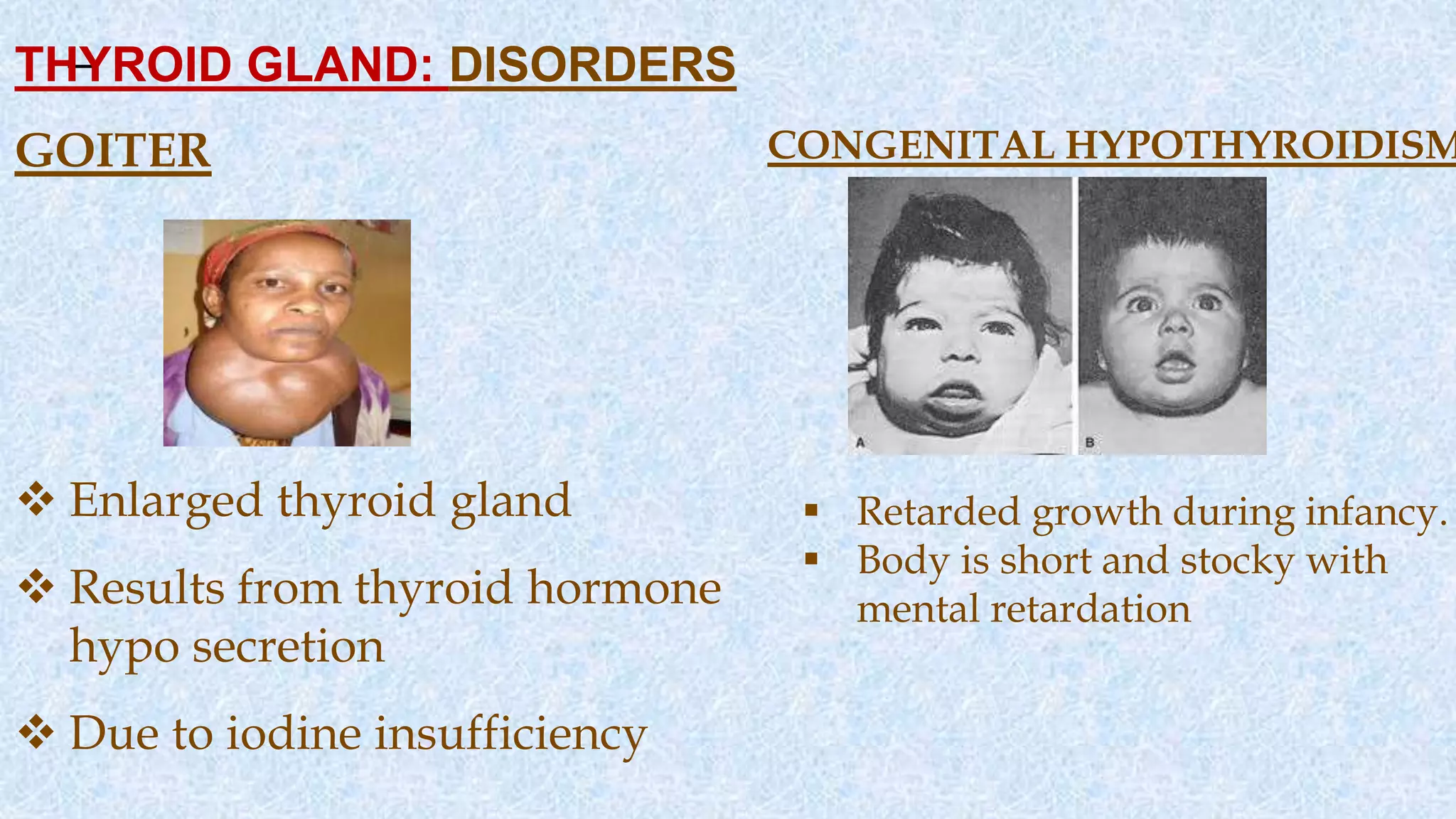 Endocrine system by NP SELOMA | PPTX | Thyroid Disorders | Endocrine ...