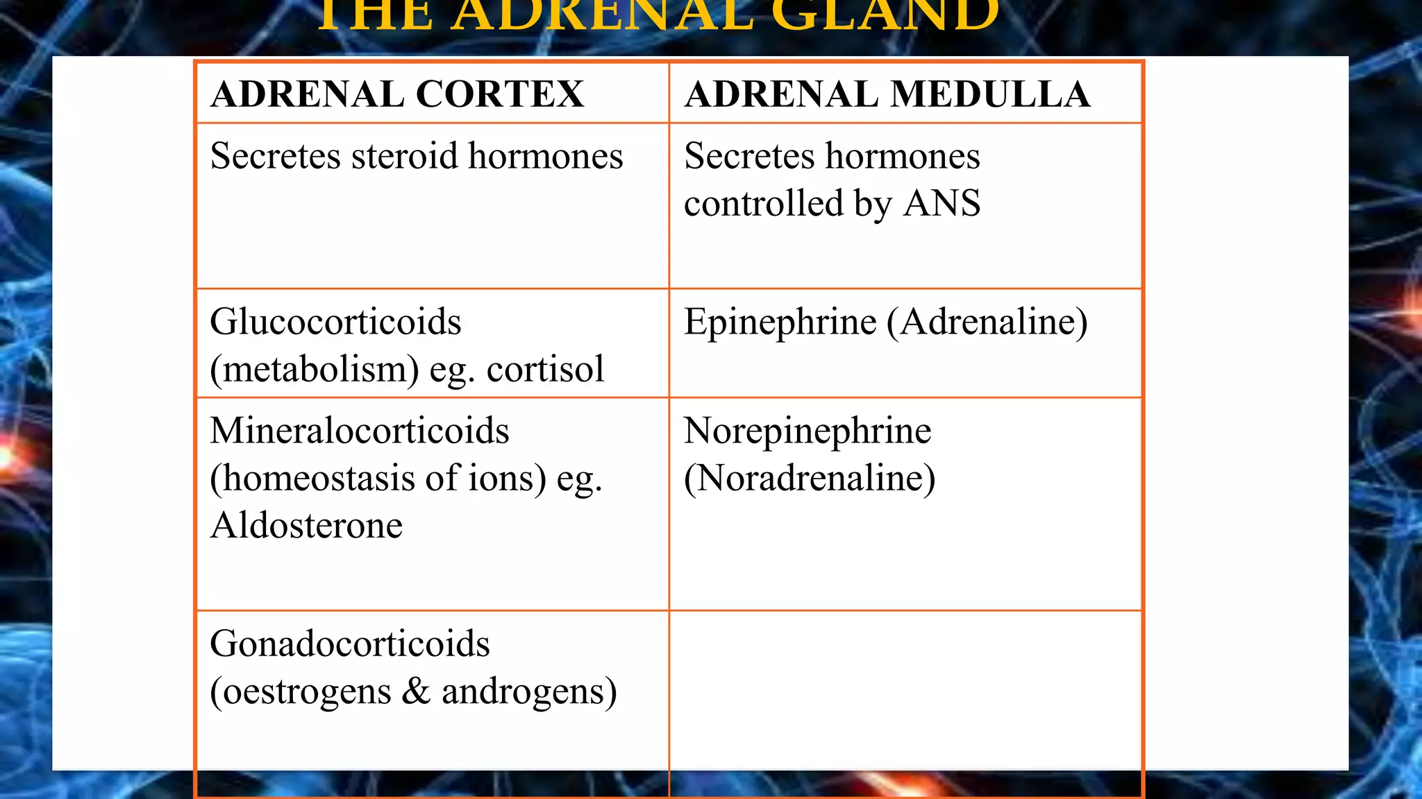 Endocrine system by NP SELOMA | PPTX | Thyroid Disorders | Endocrine ...