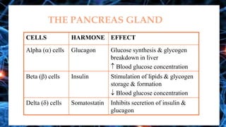 Endocrine system by NP SELOMA | PPT