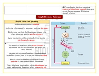 Endocrine System complete _240614_205932 (1).pptx