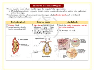 Endocrine System complete _240614_205932 (1).pptx