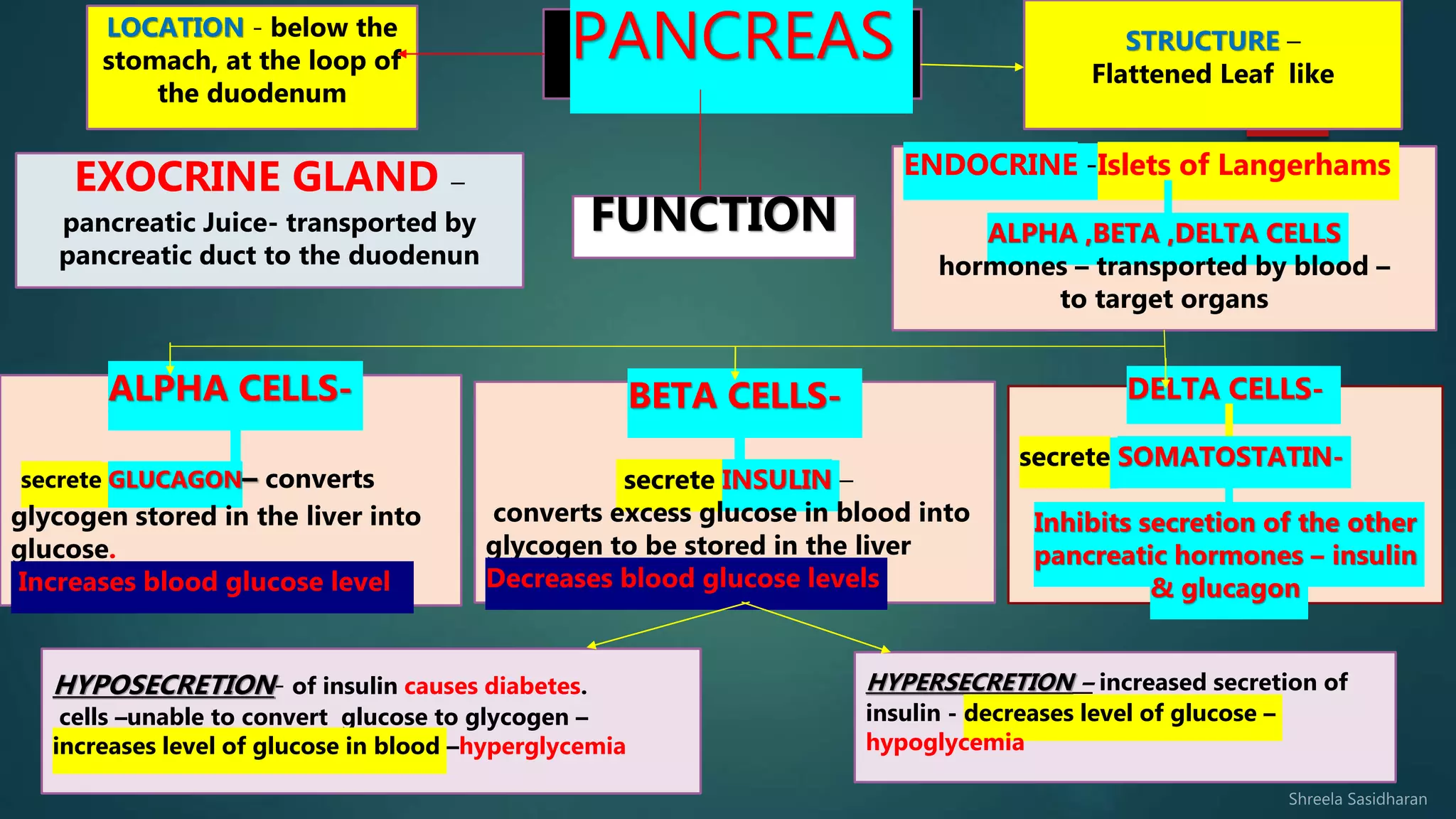 Endocrine system anatomy and physiology yogic corelation | PPTX