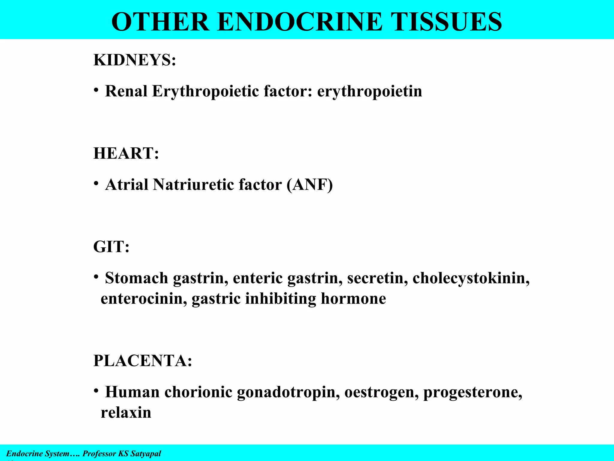 Endocrine system & disorders, gland by gland
