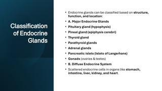 Endocrine System – Endocrine Glands Structural Organization & Histology ...