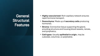 Endocrine System – Endocrine Glands Structural Organization & Histology ...