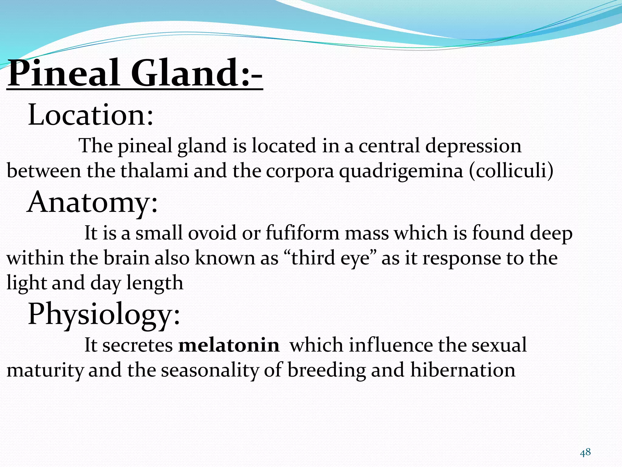 Endocrine system & exocrine system | PPTX
