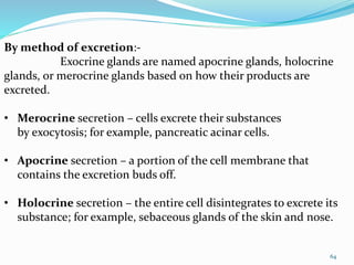 Endocrine system & exocrine system | PPTX