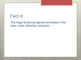 Endocrine System Facts | PPT