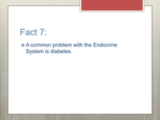 Endocrine System Facts | PPT
