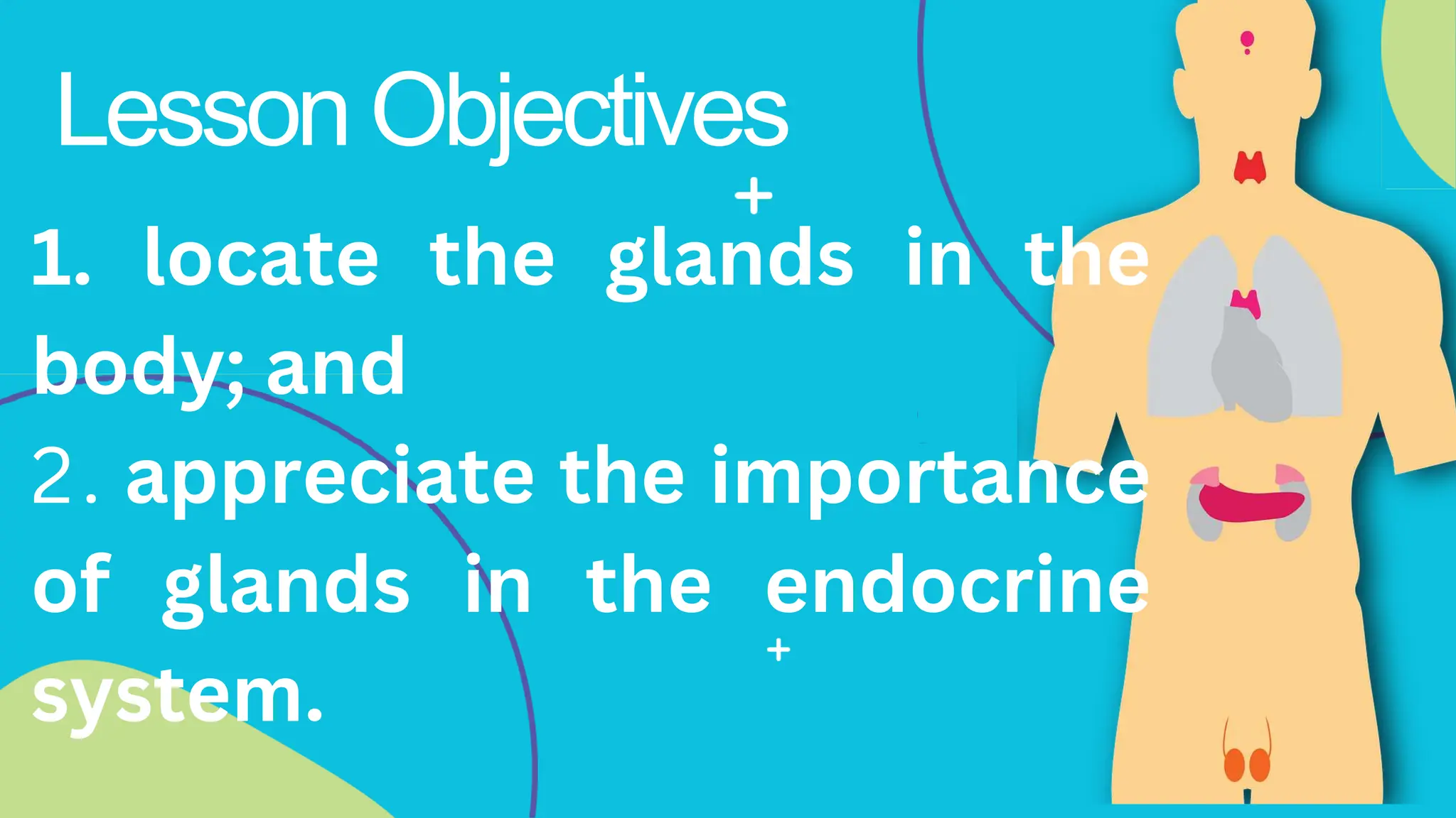 Endocrine System grade 10 lesson FINAL PPT.pptx