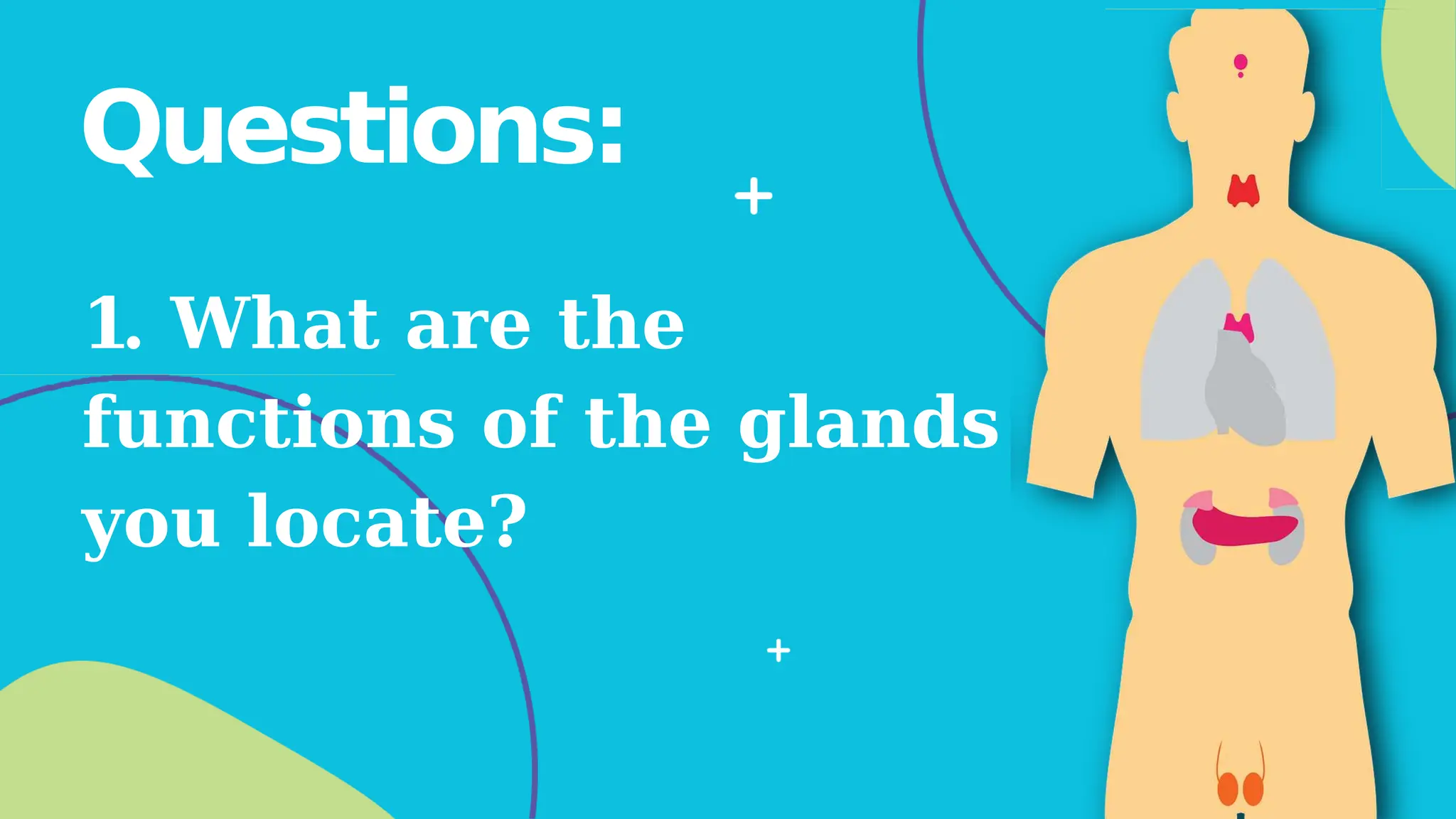 Endocrine System grade 10 lesson FINAL PPT.pptx