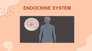 ENDOCRINE SYSTEM REPORT_TESDA CAREGIVING NCII | PPT