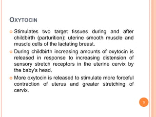 Endocrine System II.pptx