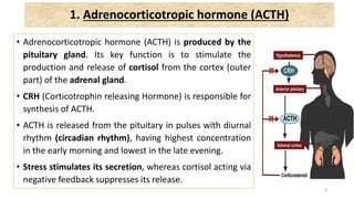 Endocrine System, Intro. (Pituitry Hormones & Thyroid Hormones)- ppt by ...