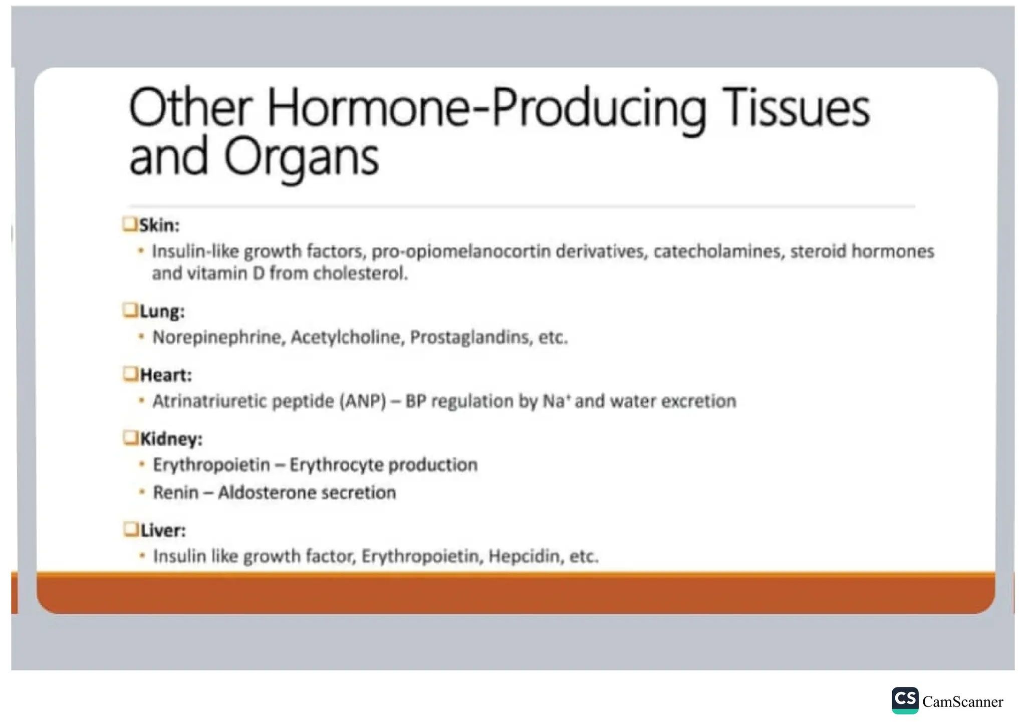 Endocrine System Physioanatomy.pdf Physiology and Anatomy of Endocrine ...