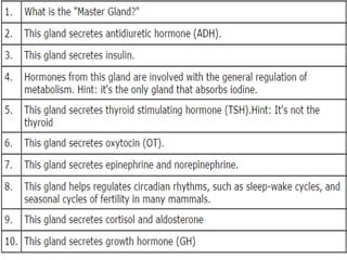 Endocrine system lecture | PPTX | Thyroid Disorders | Endocrine and Metabolic Diseases