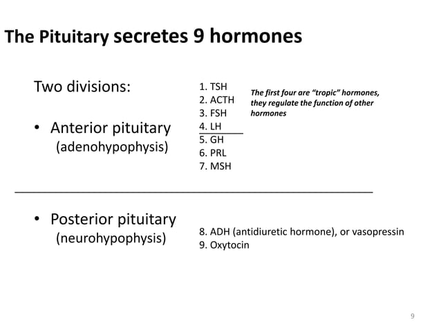 Endocrine system lecture | PPTX | Thyroid Disorders | Endocrine and Metabolic Diseases