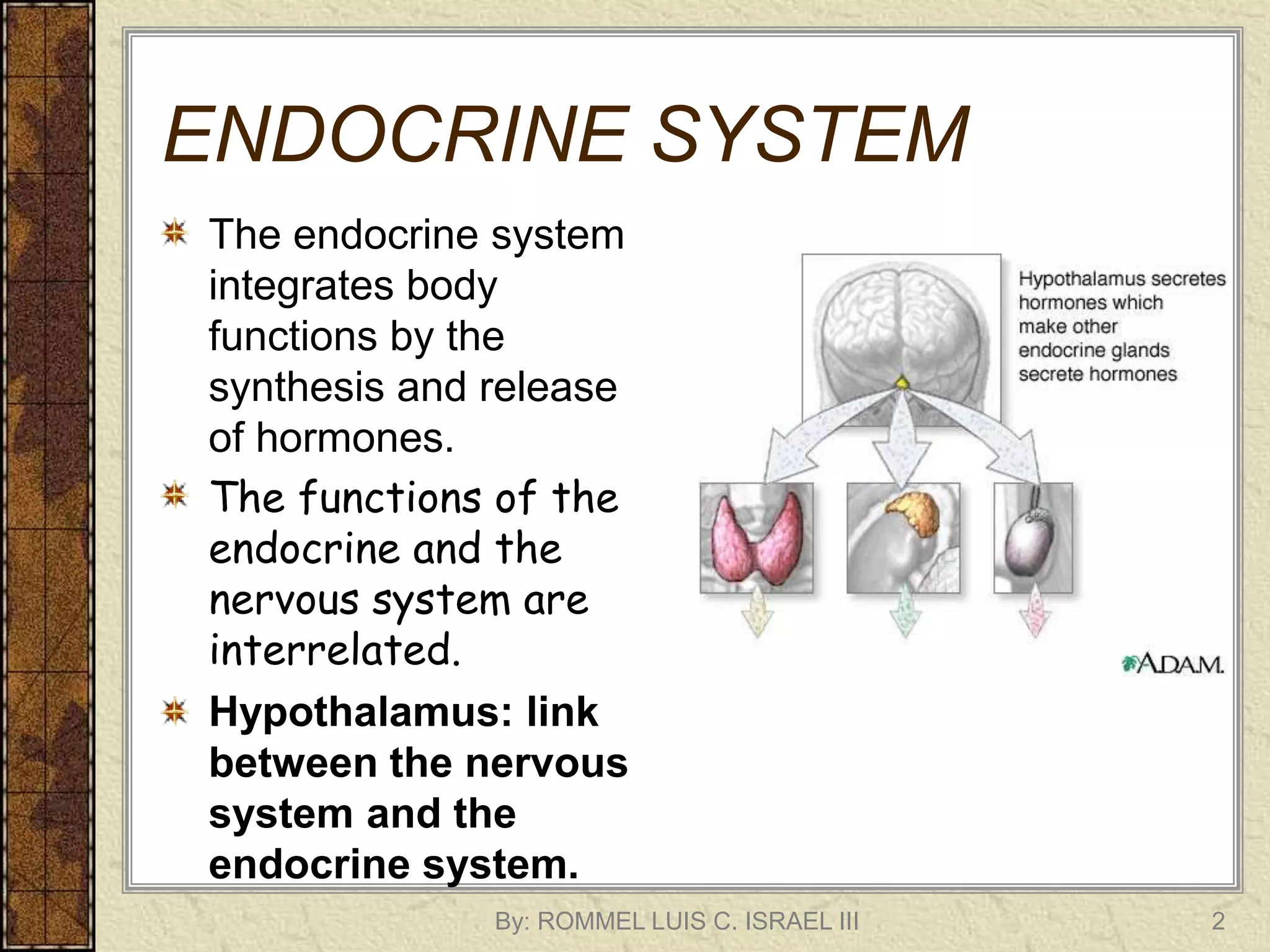 CLIENTS WITH PROBLEMS IN ENDOCRINE SYSTEM | PPT