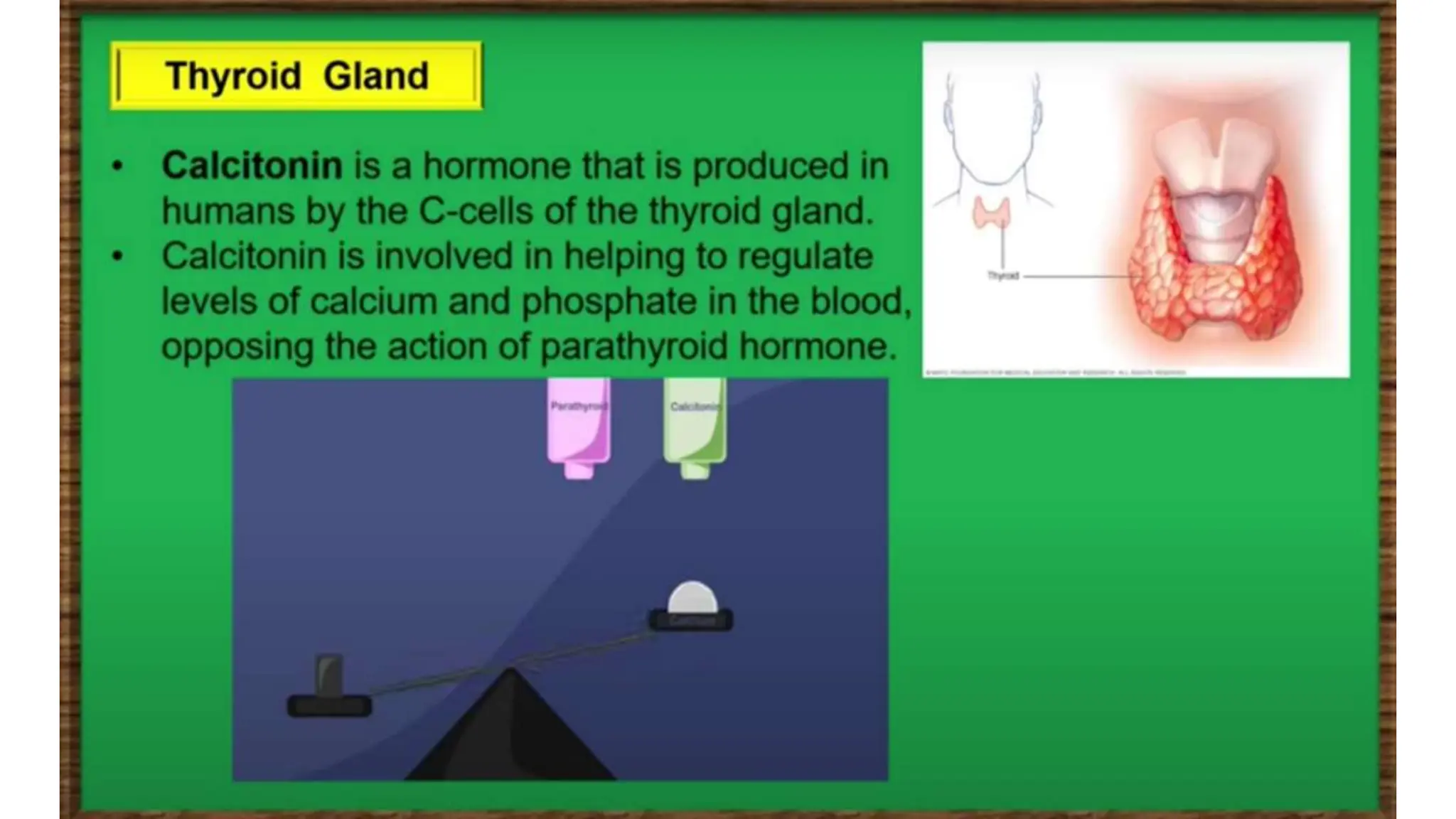 endocrine system lesson 1 [Autosaved].pptx