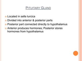 Endocrine system main surg lt cdr a jakhar ppt | PPSX