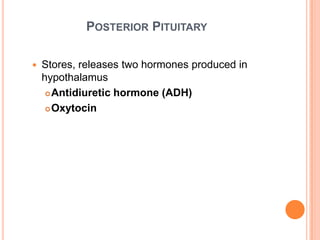 Endocrine system main surg lt cdr a jakhar ppt | PPSX