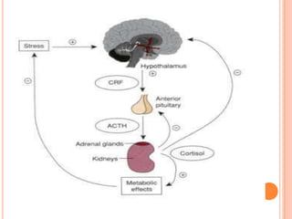 Endocrine system main surg lt cdr a jakhar ppt | PPSX