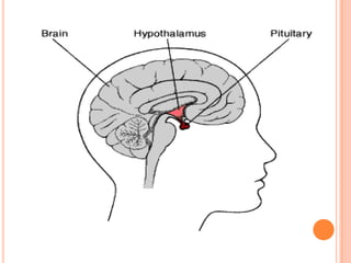 Endocrine system main surg lt cdr a jakhar ppt | PPSX