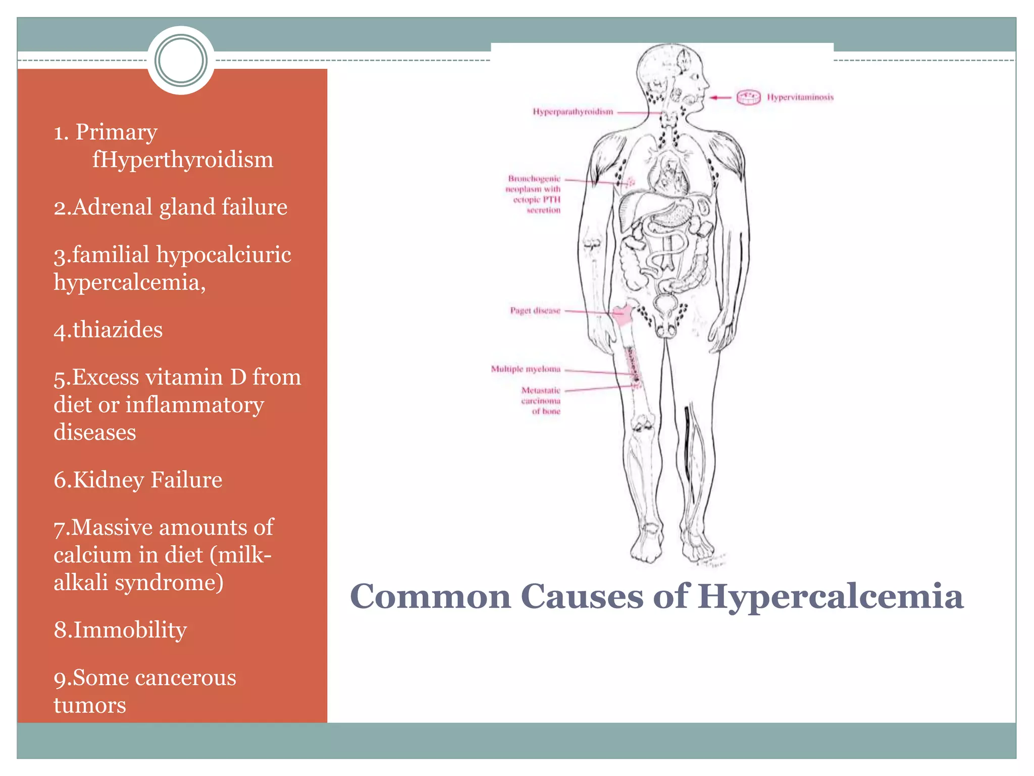 Endocrine system medical terminology | PPTX