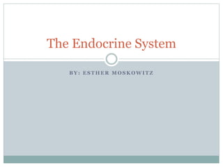 Endocrine system medical terminology | PPTX
