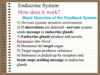Endocrine system mine for 4th | PPT