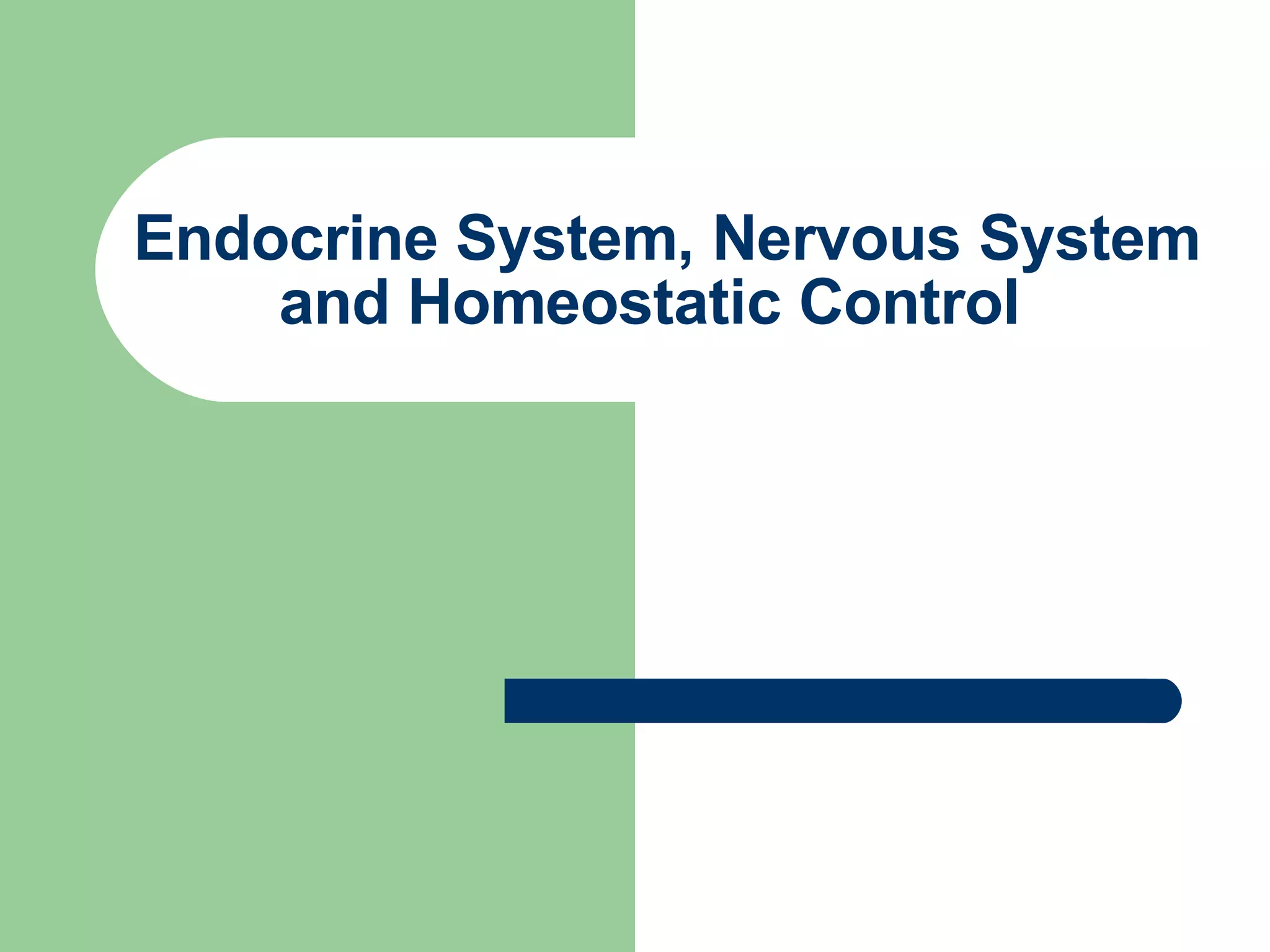 Endocrine System, Nervous System And Homeostatic Control[1] | PPT
