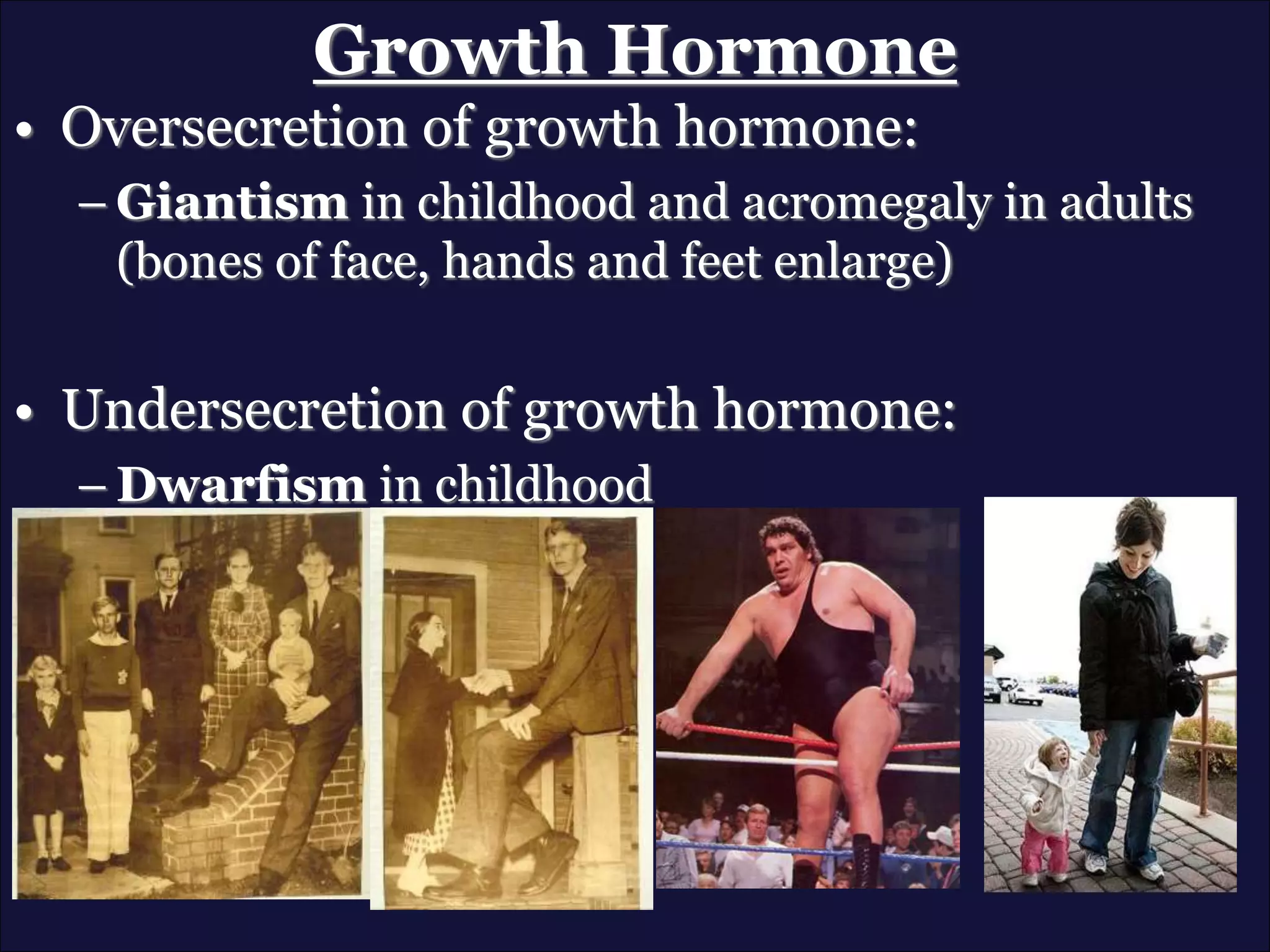 Endocrine_Systemnew.ppt